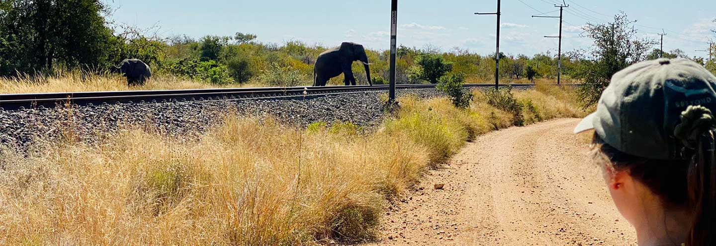 Legislation | EWT laws