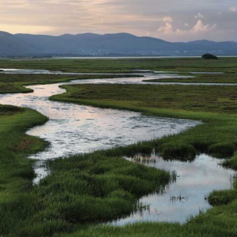 Legislation | EWT laws